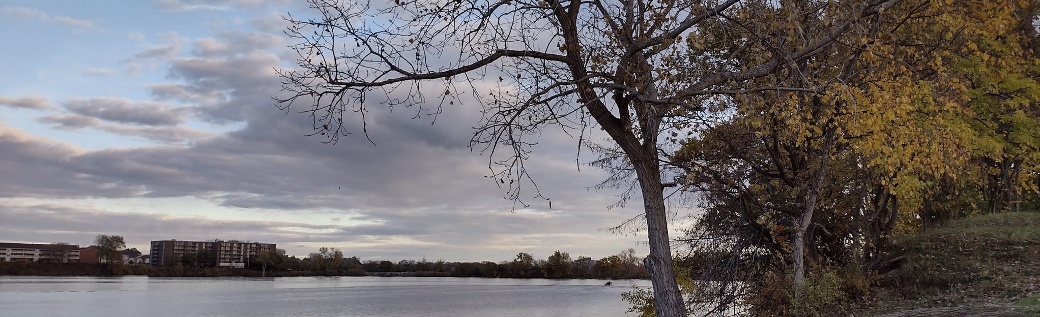 Ford Lake Park Loop - Michigan | AllTrails