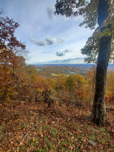 Moshannon State Forest: Die 10 besten Wanderungen und Routen | AllTrails