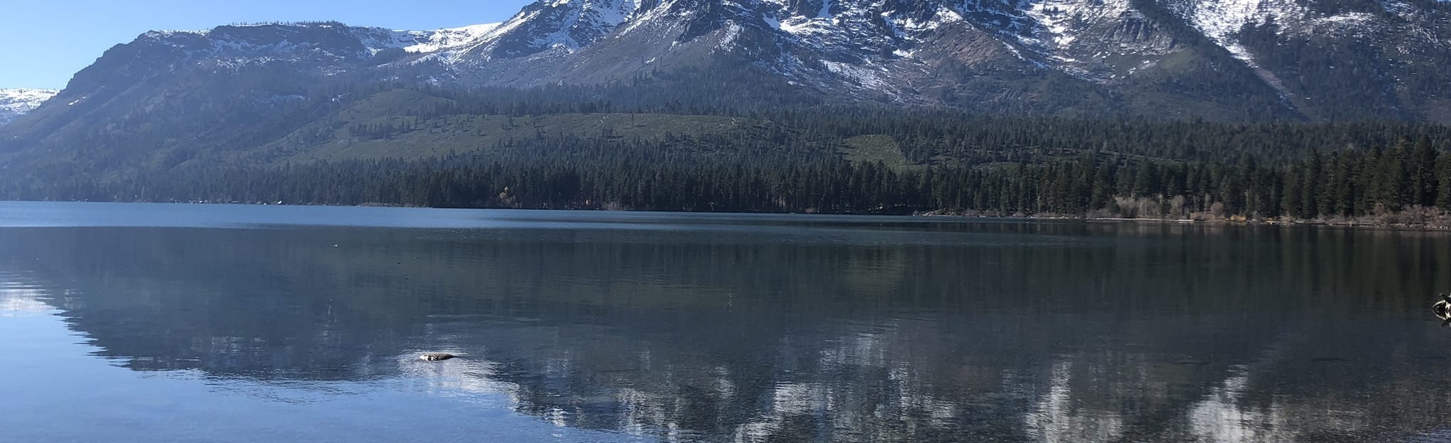 Fallen Leaf Lake via Sand Harbor Trail: 173 Reviews, Map - California ...