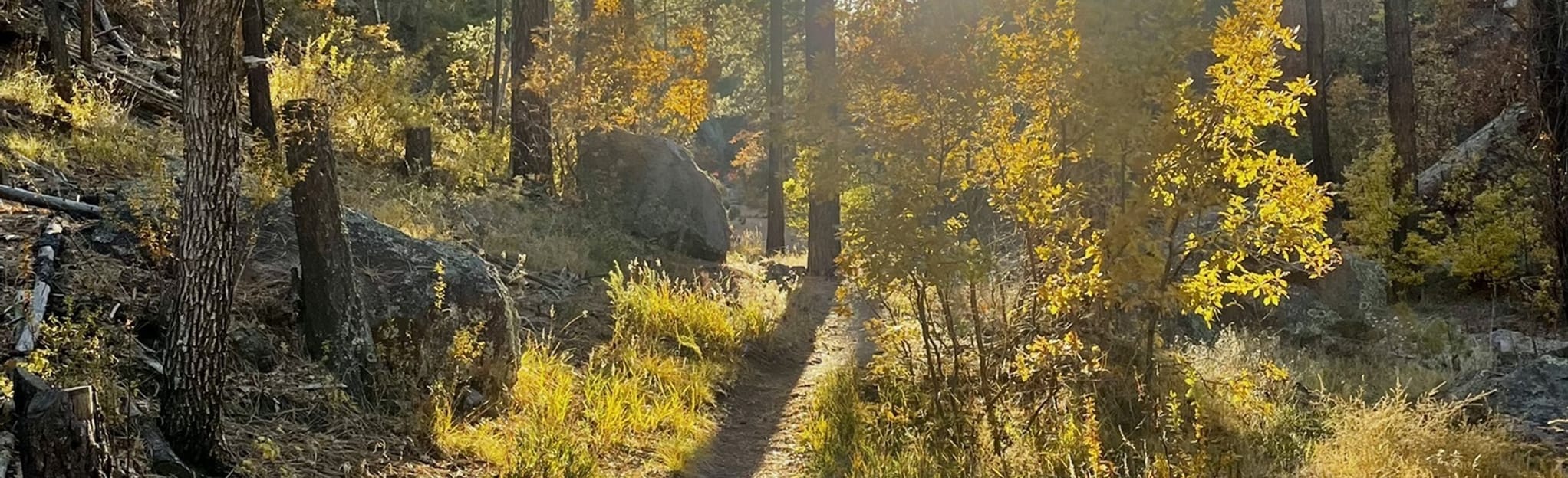 Cabra Loop Trail - New Mexico | AllTrails