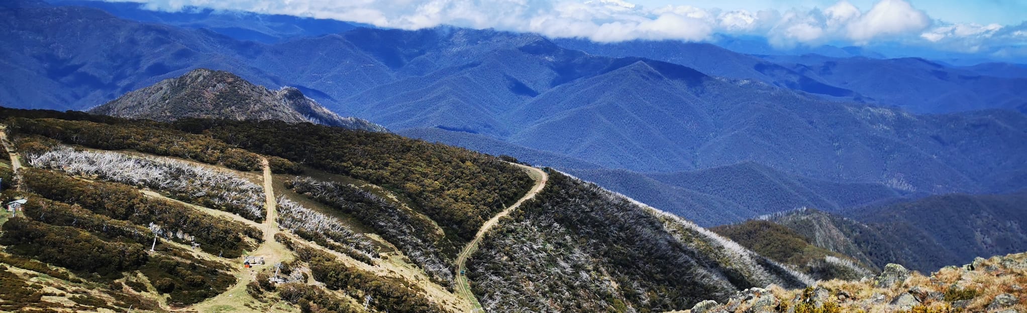 The Summit Nature Walk: 66 Reviews, Map - Victoria, Australia | AllTrails