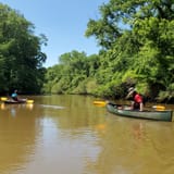 Hatchie River Paddle Route, Tennessee - 4 Reviews, Map | AllTrails
