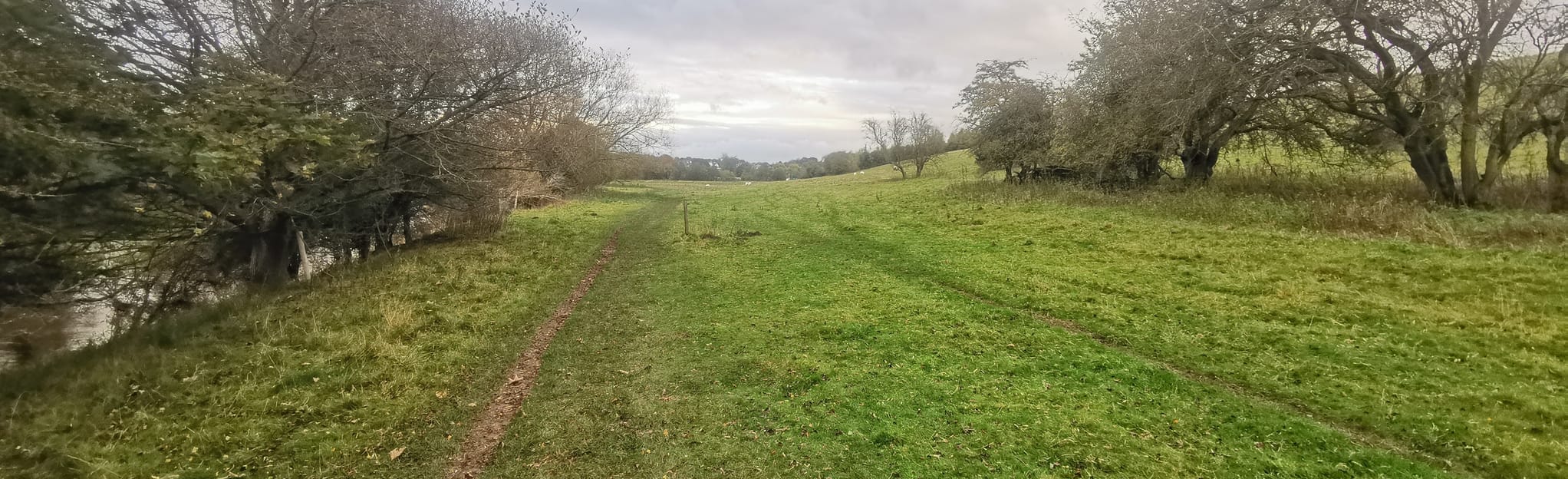 River Wharfe and Wetherby Ings Circular, West Yorkshire, England - 25 ...