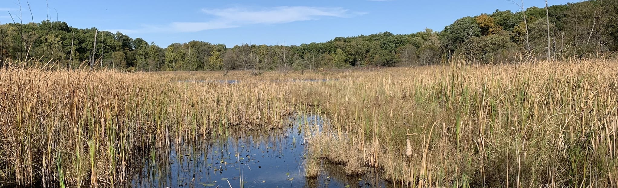 Pokagon State Park Trail 3: 518 Reviews, Map - Indiana | AllTrails