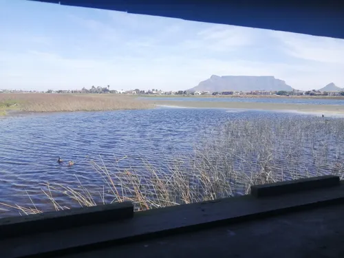 Table Bay Nature Reserve: de beste routes om te wandelen | AllTrails