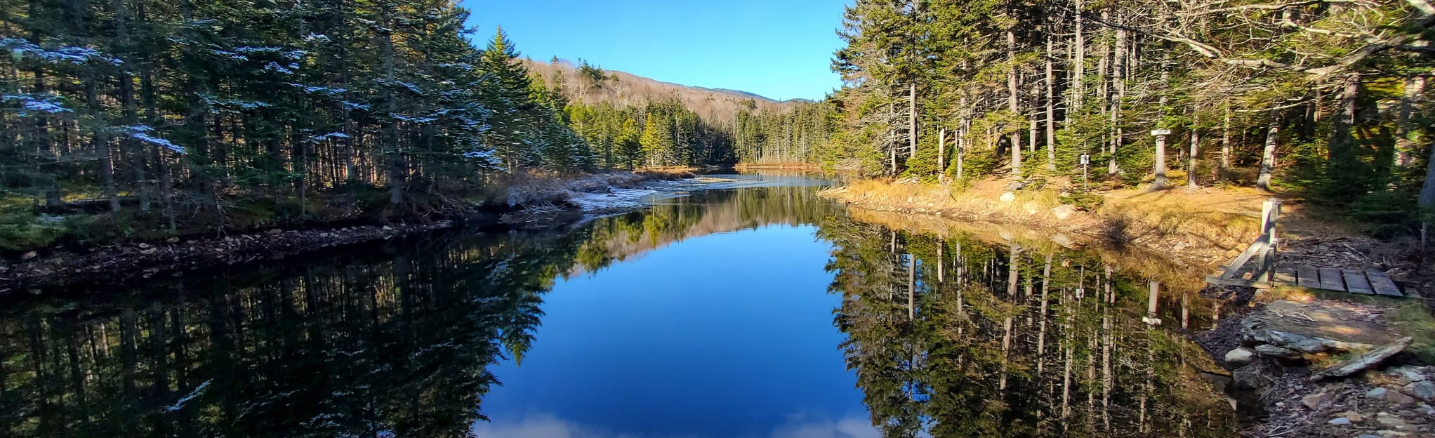 Ammonoosuc Lake Trail, New Hampshire - 202 Reviews, Map | AllTrails