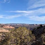 Rabbit Valley Trails 4 and 5, Colorado - 28 Reviews, Map | AllTrails