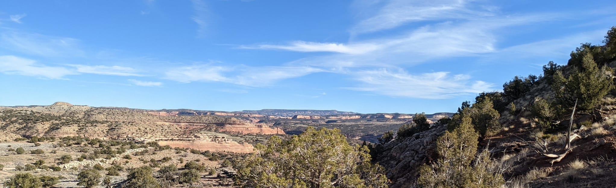 Rabbit Valley 3,4,8,6: 4 Reviews, Map - Colorado | AllTrails