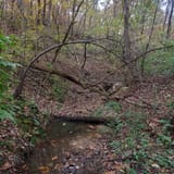Chief Wapello Trail, Iowa - 57 Reviews, Map | AllTrails