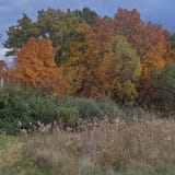Chief Wapello Trail, Iowa - 53 Reviews, Map | AllTrails