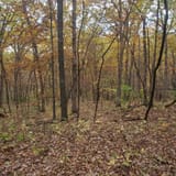 Chief Wapello Trail, Iowa - 53 Reviews, Map | AllTrails