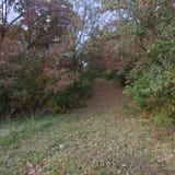 Chief Wapello Trail, Iowa - 53 Reviews, Map | AllTrails
