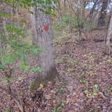 Chief Wapello Trail, Iowa - 53 Reviews, Map | AllTrails