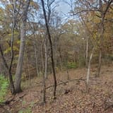 Chief Wapello Trail, Iowa - 53 Reviews, Map | AllTrails