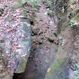 Chief Wapello Trail, Iowa - 53 Reviews, Map | AllTrails
