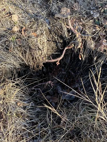 2023 Best Lake Trails in Elk Point | AllTrails