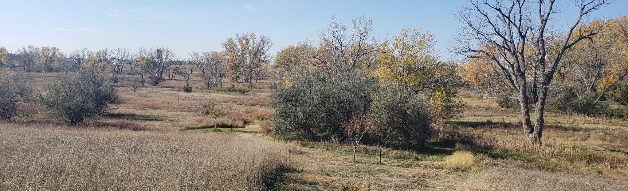 Vineyard Park Loop, Kansas - 27 Reviews, Map | AllTrails