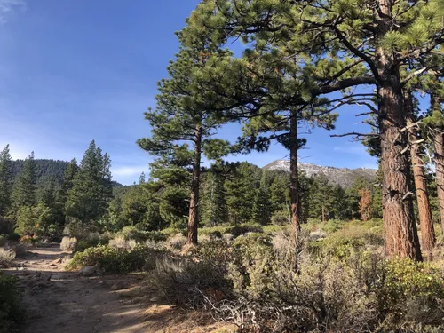 Best Hikes and Trails in Galena Creek Regional Park | AllTrails