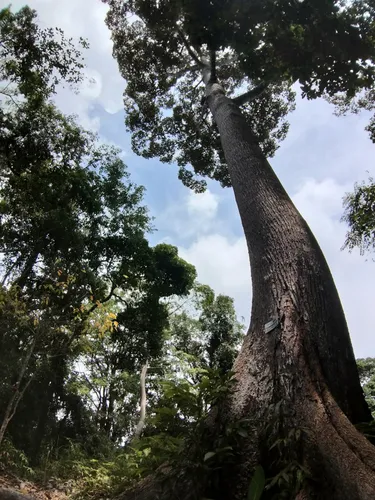 Best Walking Trails in Lanchang | AllTrails