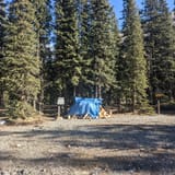 Big Elbow Trail, Alberta, Canada - 244 Reviews, Map | AllTrails
