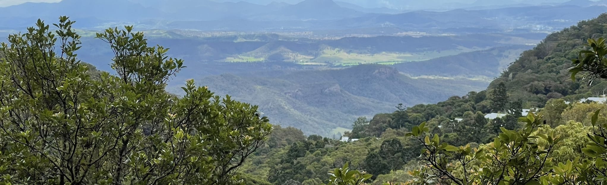 Lamington Tree Top Walk: 293 foto's - Queensland, Australië | Wandelen ...