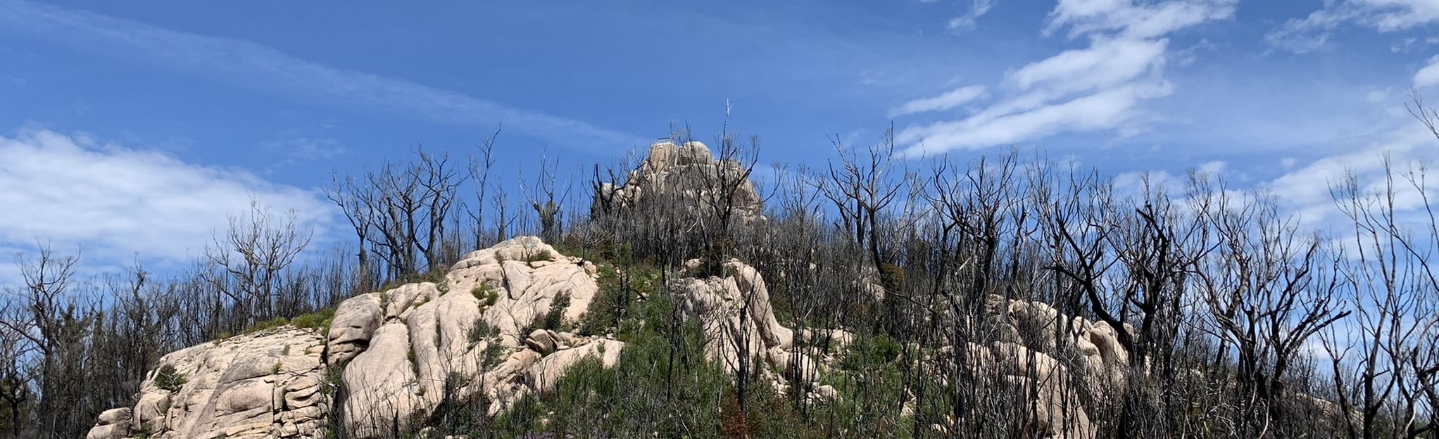 Genoa Peak Walk, Victoria, Australia - 90 Reviews, Map | AllTrails
