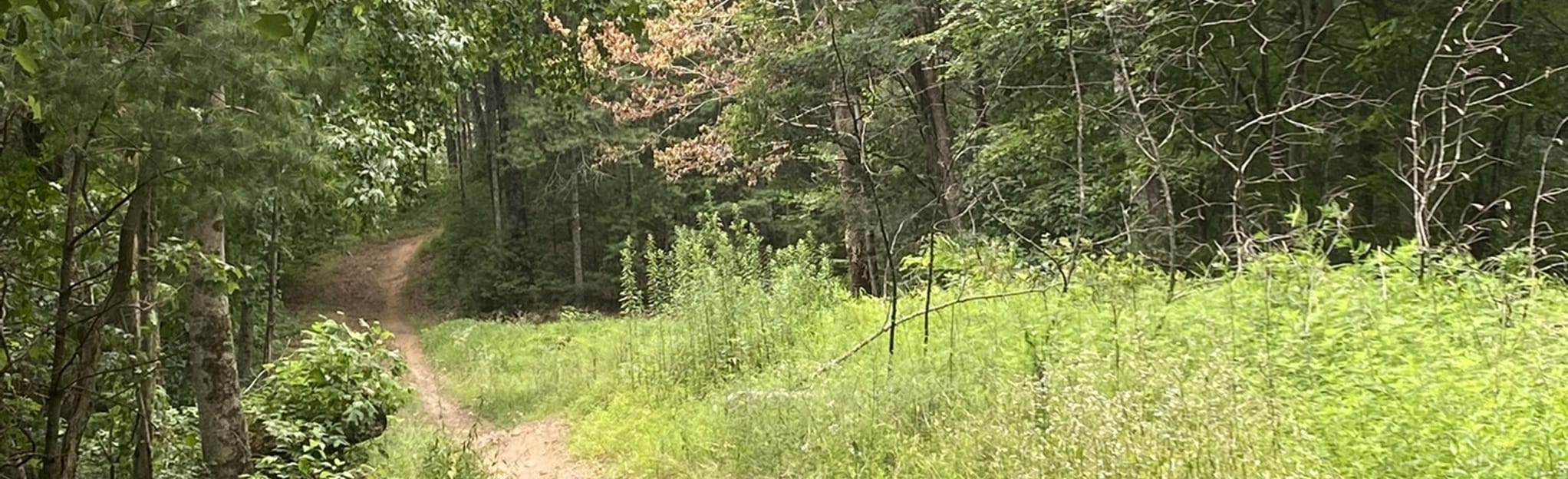 Bear Creek and Pinhoti Loop, Georgia - 490 Reviews, Map | AllTrails