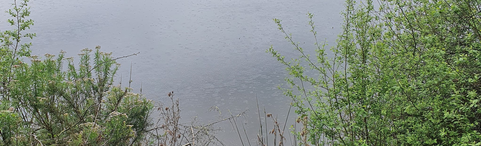 St George's Lake Loop: 95 foto's - Victoria, Australië | AllTrails