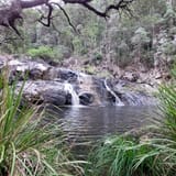 Conondale Range Great Walk, Queensland, Australia - 42 Reviews, Map ...