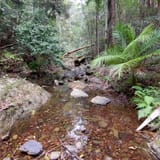 Conondale Range Great Walk, Queensland, Australia - 56 Reviews, Map ...