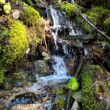 Flora Lake Trail, British Columbia, Canada - 90 Reviews, Map | AllTrails