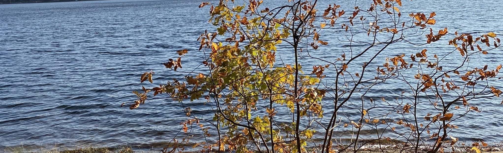 Duck Lake Trail, Michigan - 221 Reviews, Map | AllTrails