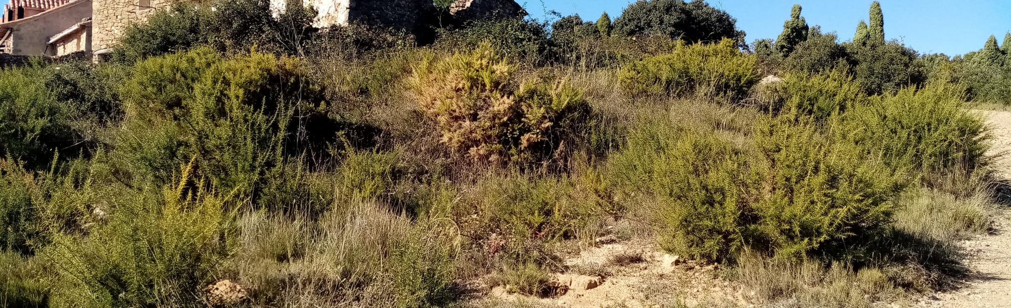 Ludiente - Camino Viejo de Lucena, Castellon, Spain - Map, Guide ...
