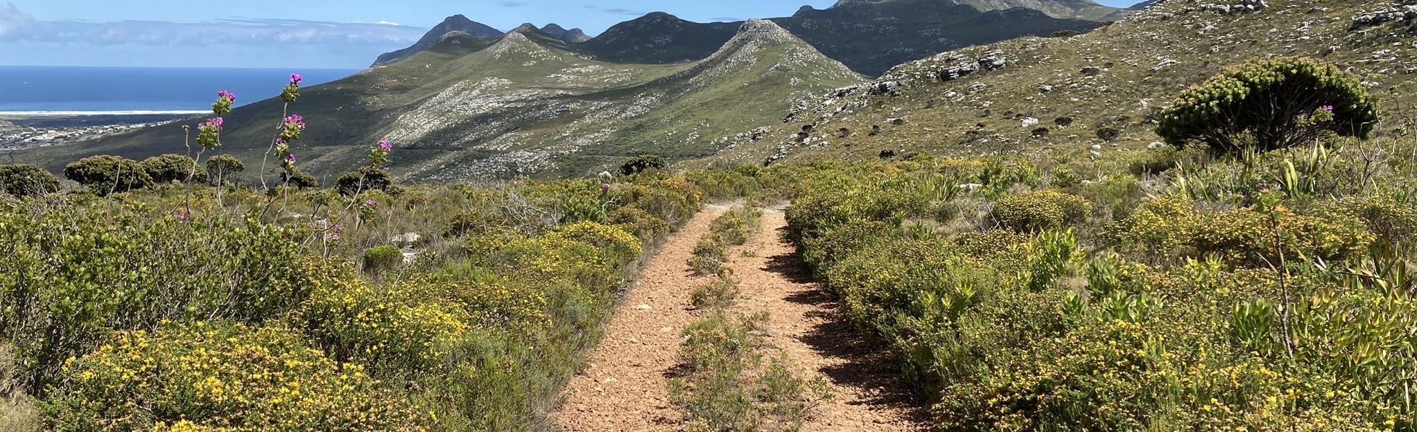 Silvermine Waterfall Loop: 46 Reviews, Map - Western Cape, South Africa ...