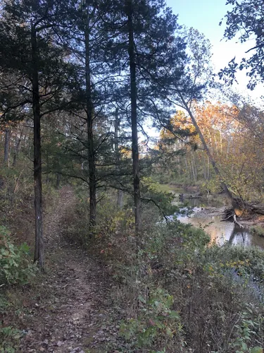 Best Hikes and Trails in Archie and Gracie Vanderhoef Memorial State ...