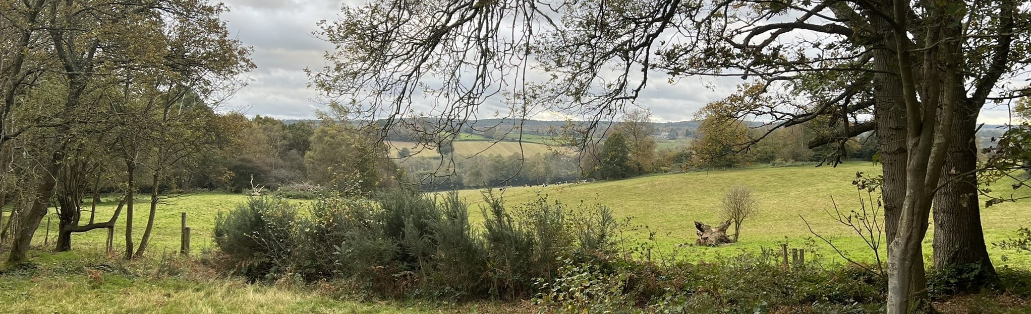 Abinger Roughs and Blatchford Down Circular, Surrey, England - 32 ...
