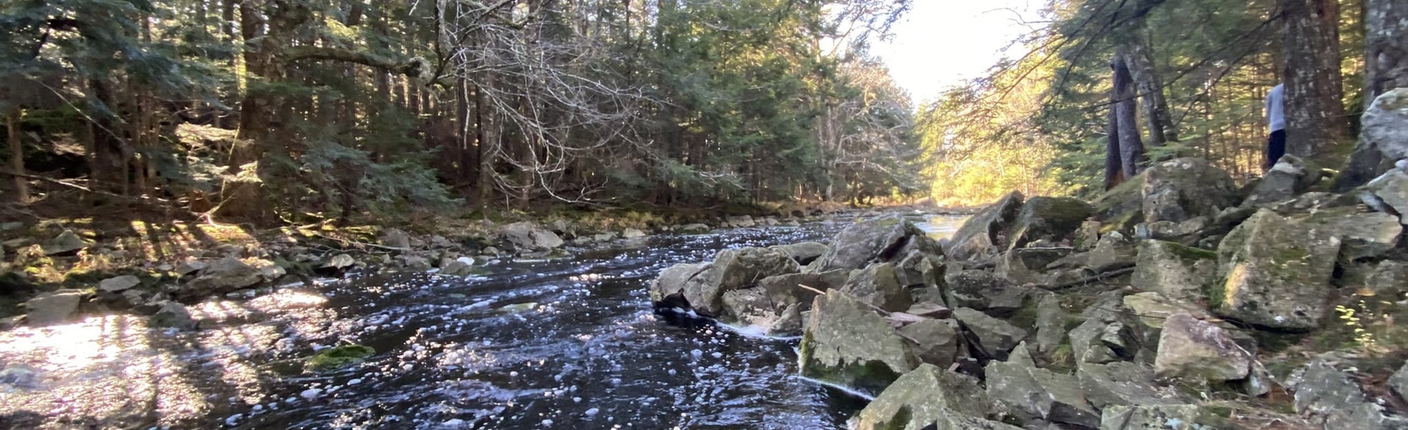 Clattenburgh Brook Loop, Nova Scotia, Canada - Map, Guide | AllTrails