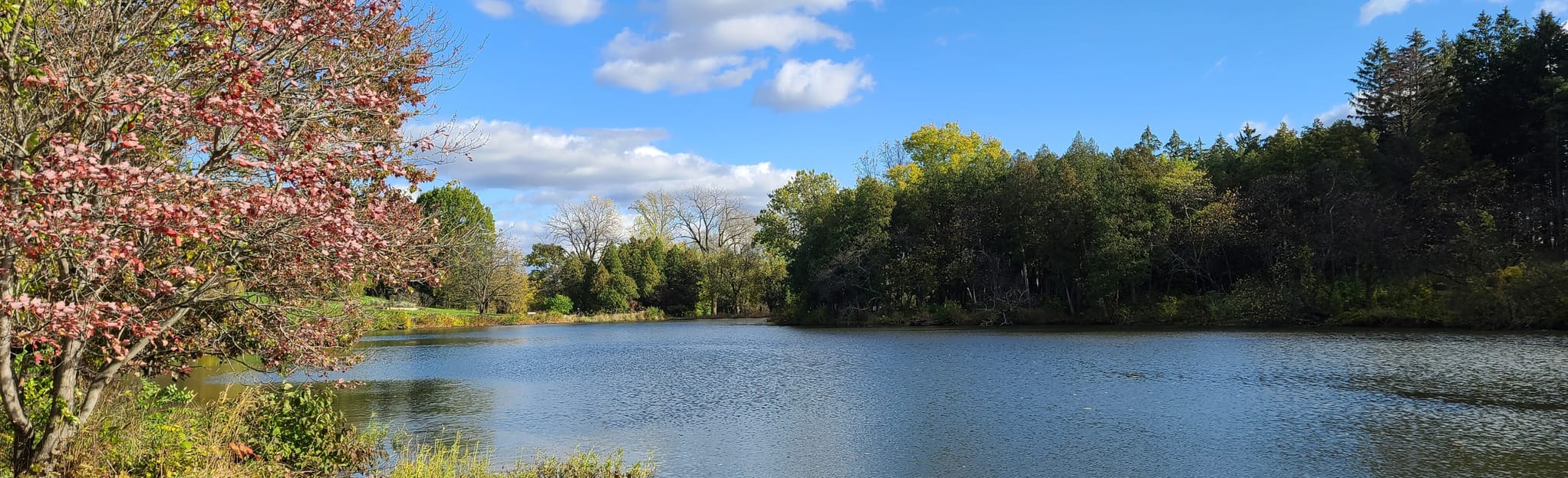 Morton Arboretum West Side Main Trail Loop 3: 238 Reviews, Map ...