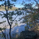 Manitou Point Preserve Trail, New York - 282 Reviews, Map | AllTrails