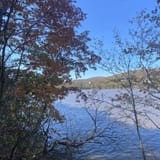 Manitou Point Preserve Trail, New York - 282 Reviews, Map | AllTrails