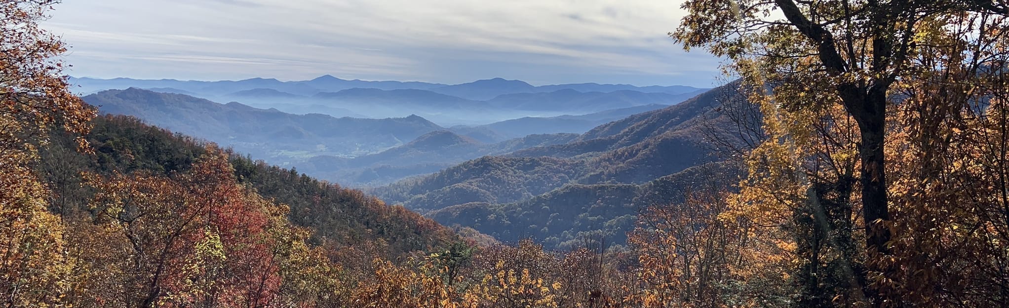 Cataloochee Divide Trail to Hemphill Bald, North Carolina - 263 Reviews ...