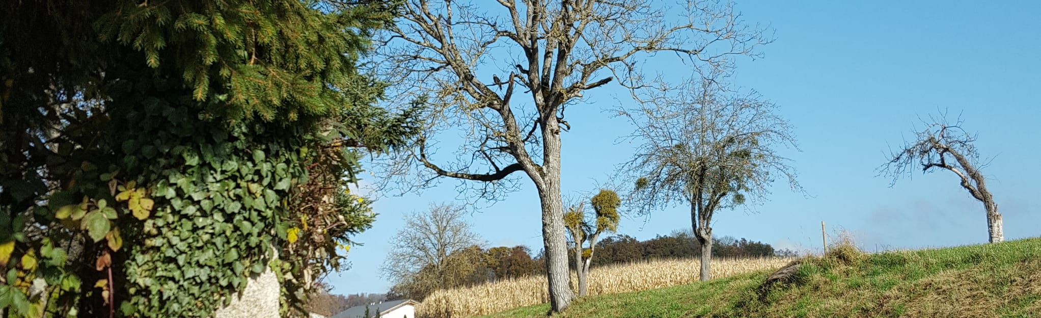 Boncourt - Mont Renaud - Milandre, Jura, Switzerland - 40 Reviews, Map ...