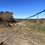 Swope Loop to Pine Hill, New Hampshire - 160 Reviews, Map | AllTrails