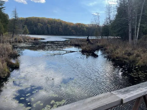 Best Wild Flowers Trails in Gould Lake Conservation Area | AllTrails