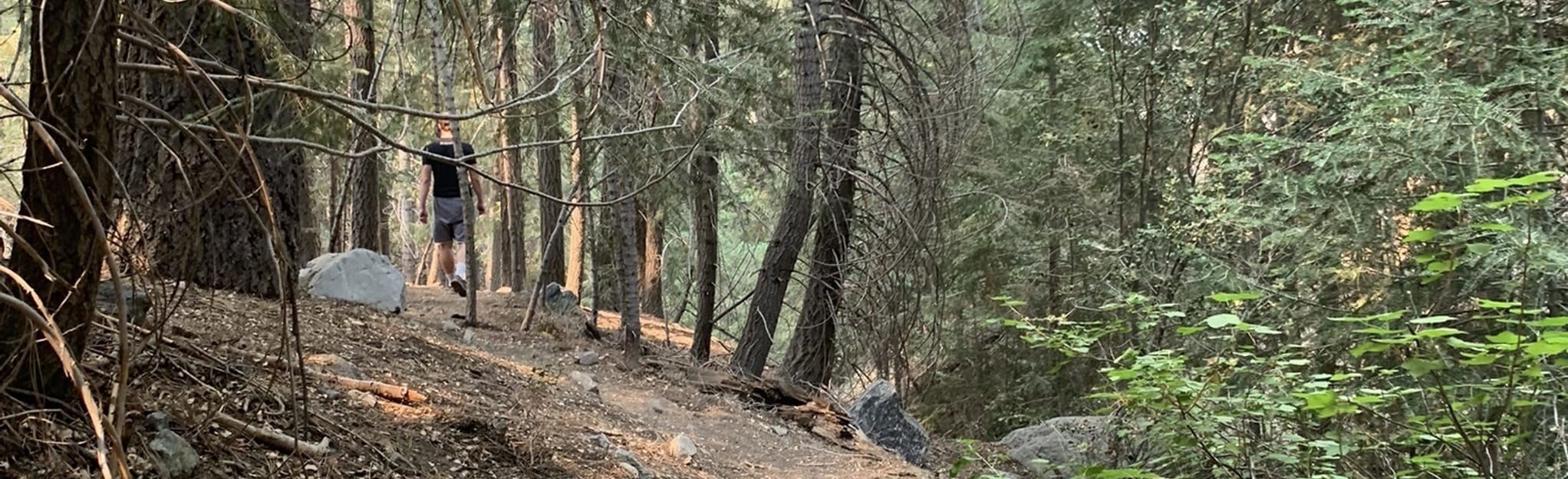 Enchanted Forest Trail, California - 224 Reviews, Map | AllTrails