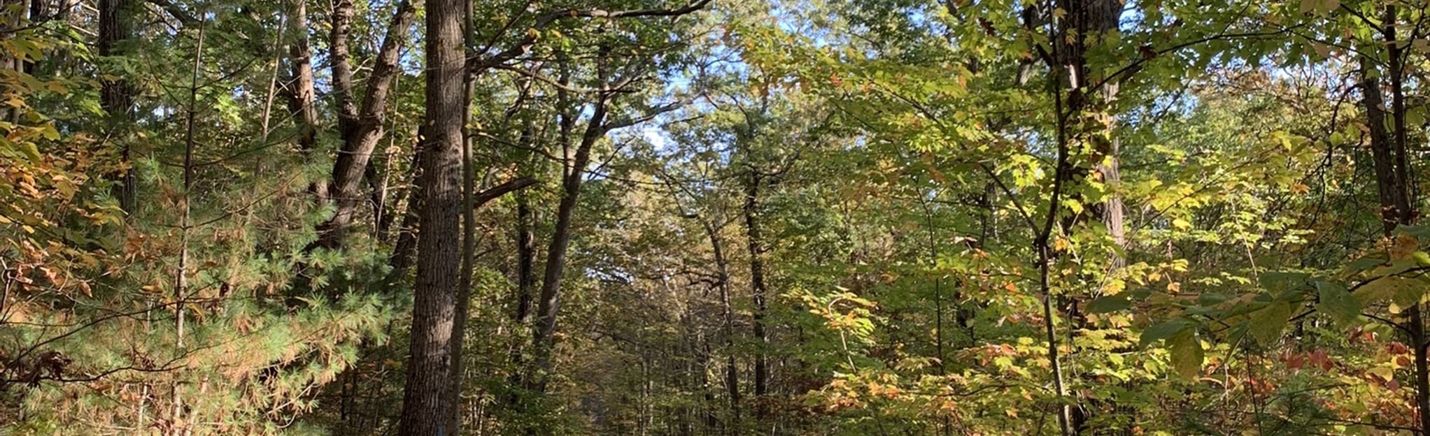 AllTrails | East Boundary and Stony Brook Path Loop: 289 Reviews, Map ...