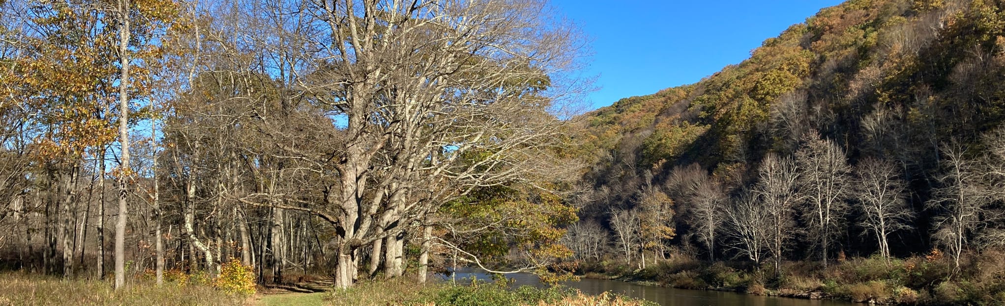 Gerard Hiking Trail: 272 Reviews, Map - Pennsylvania | AllTrails