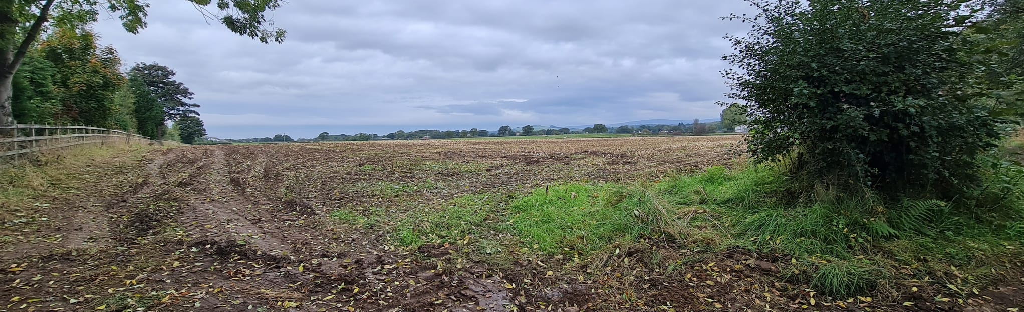 Bilsborrow Circular, Lancashire, England - 40 Reviews, Map | AllTrails