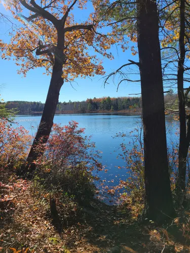 Best Hikes and Trails in Hall Environmental Reserve | AllTrails