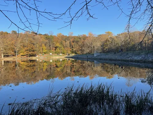 10 Best Lake Trails in French Creek State Park | AllTrails